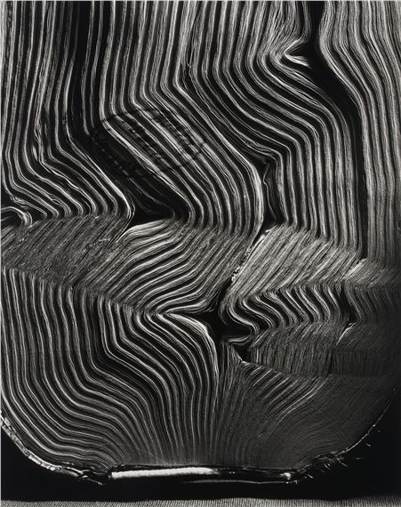 Abelardo Morell | Book with Wavy pages (2001) | MutualArt