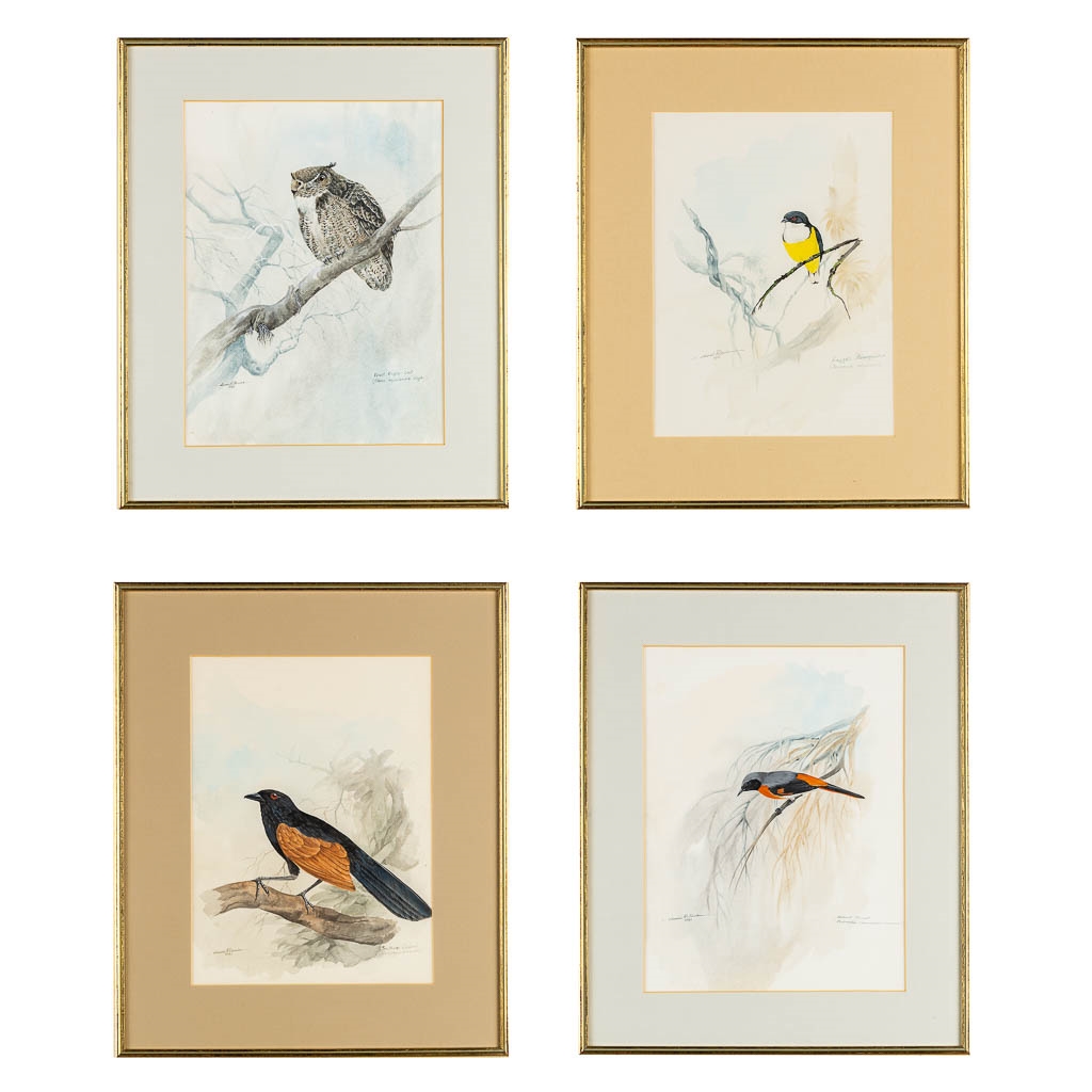 Gamini P. Ratnavira | Birds | MutualArt