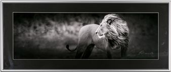 Adam Rabinowitz | 3 Artworks at Auction | MutualArt