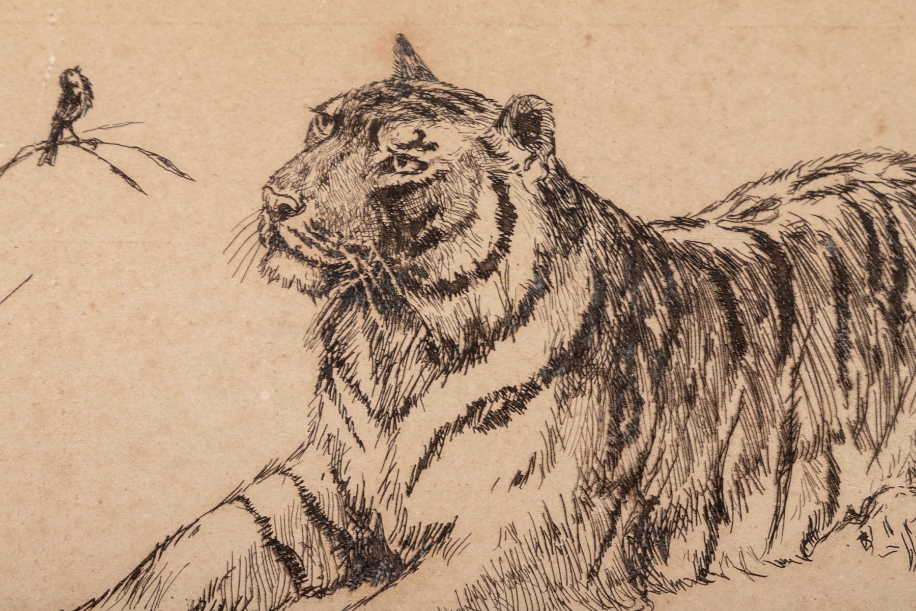 Frederick Stuart Church | Tiger Eyeing A Bird | MutualArt