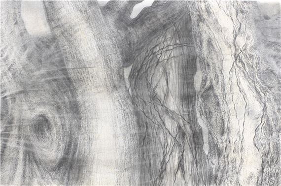 Costas Mikellides | Australian Tree | MutualArt