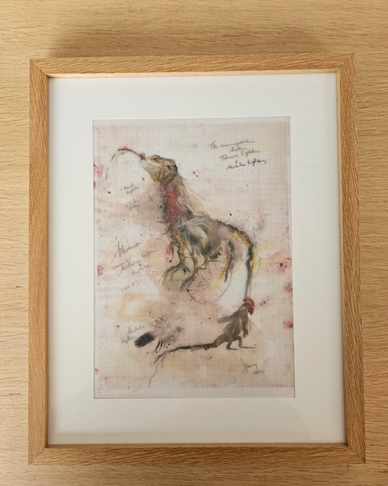 Koen Vanmechelen | Koen Vanmechelen | MutualArt