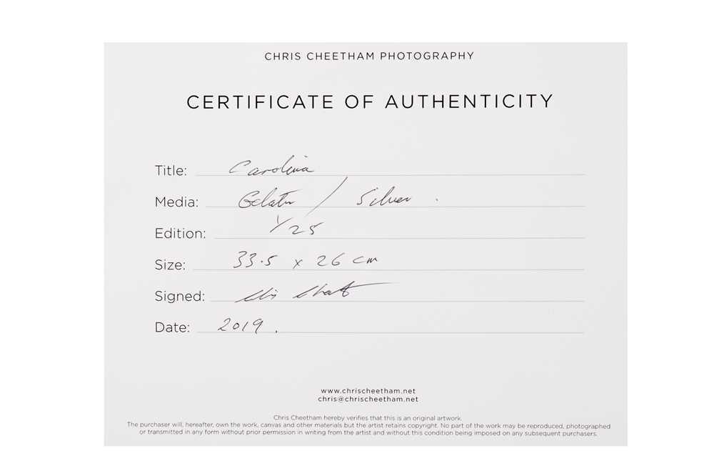 Chris Cheetham | Carolina, 2019 | MutualArt