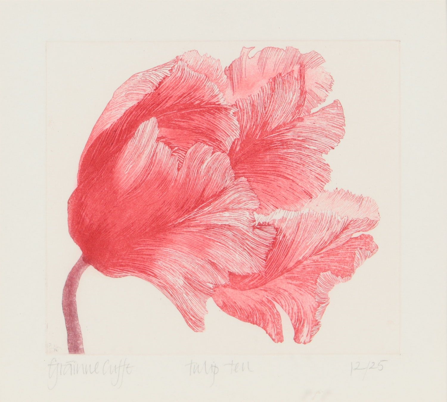 Grainne Cuffe | TULIP TELL | MutualArt