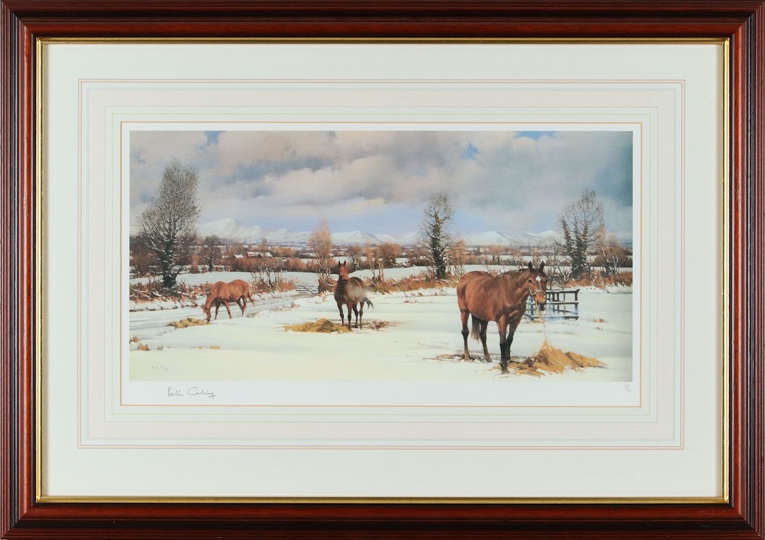 Peter Curling | WINTER RATIONS | MutualArt