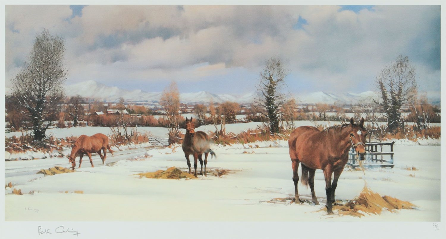 Peter Curling | WINTER RATIONS | MutualArt