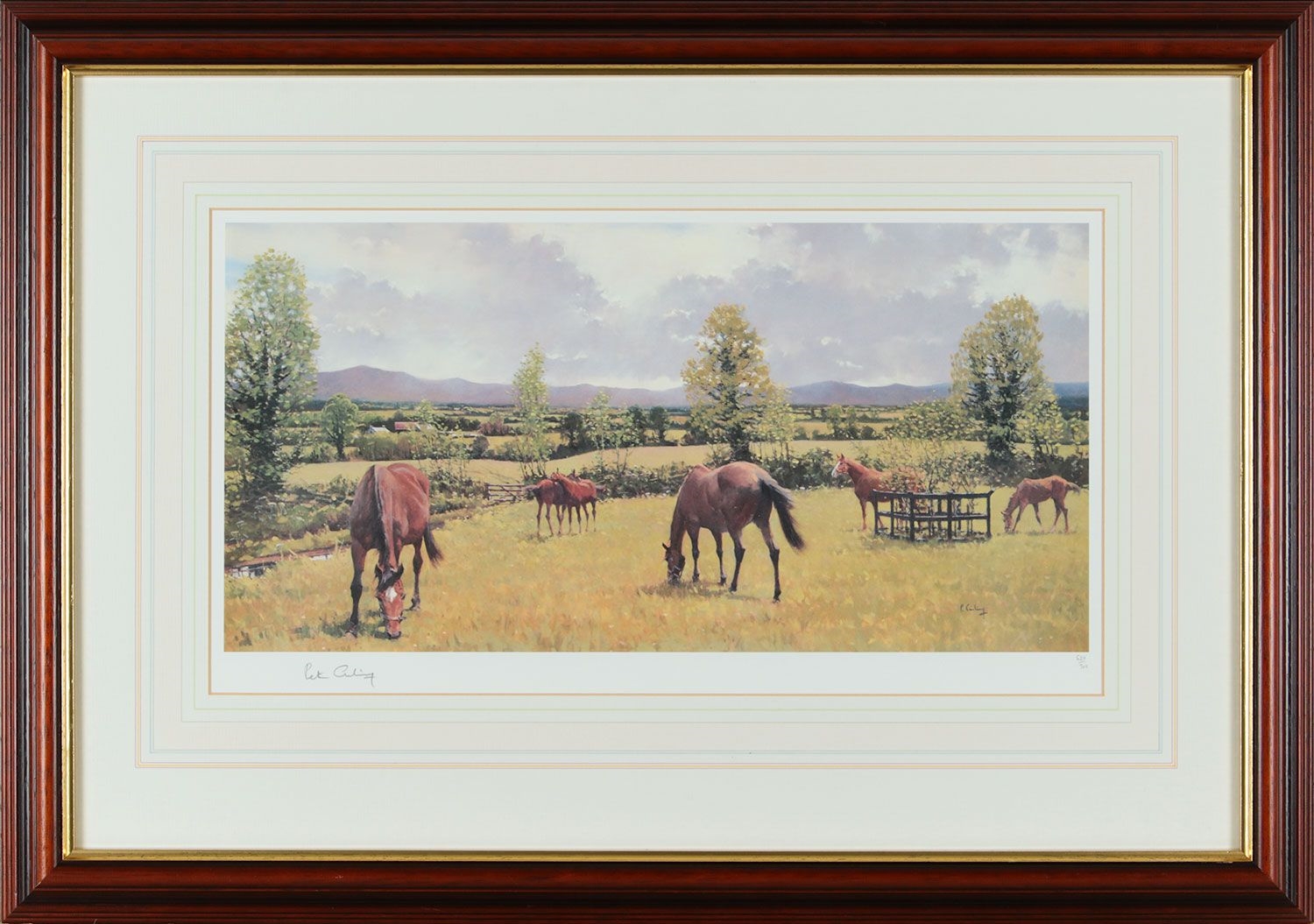 Peter Curling | LUSH SUMMER | MutualArt