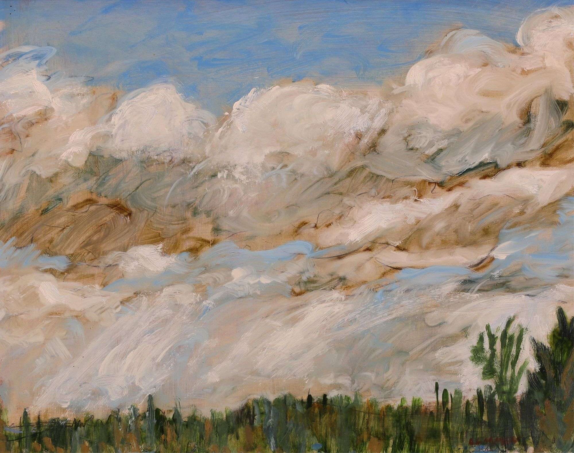 Ronald Myren | Cloud Study Near Alexis Lake B.C. (1989) | MutualArt