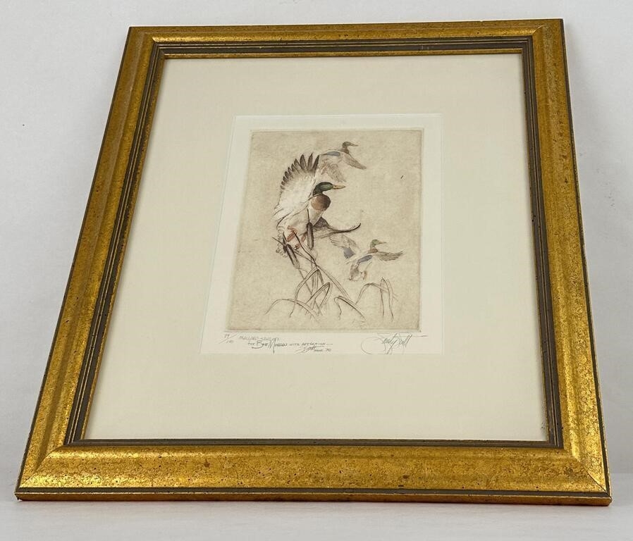 Sandy Scott | Sandy Scott Etching Mallard Take Off | MutualArt