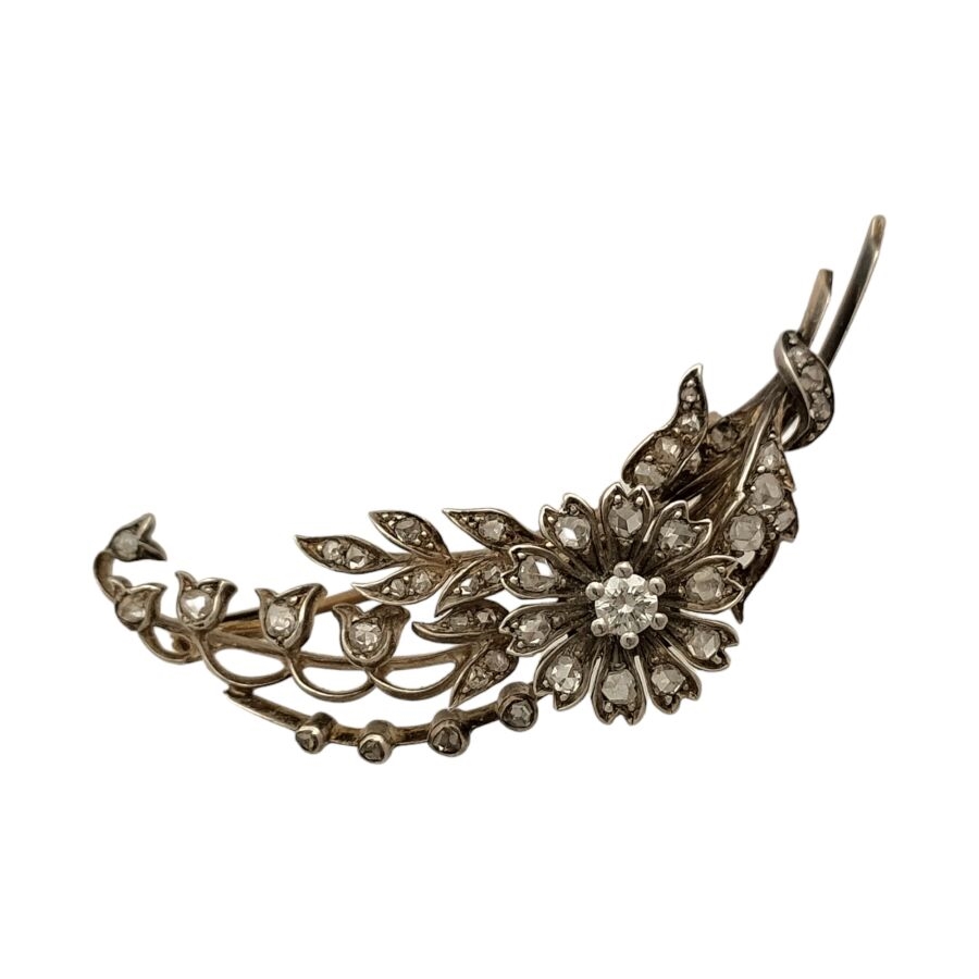 Roger Reboussin | Chauve-souris à Fort Archambault (Tchad) (1948 ...