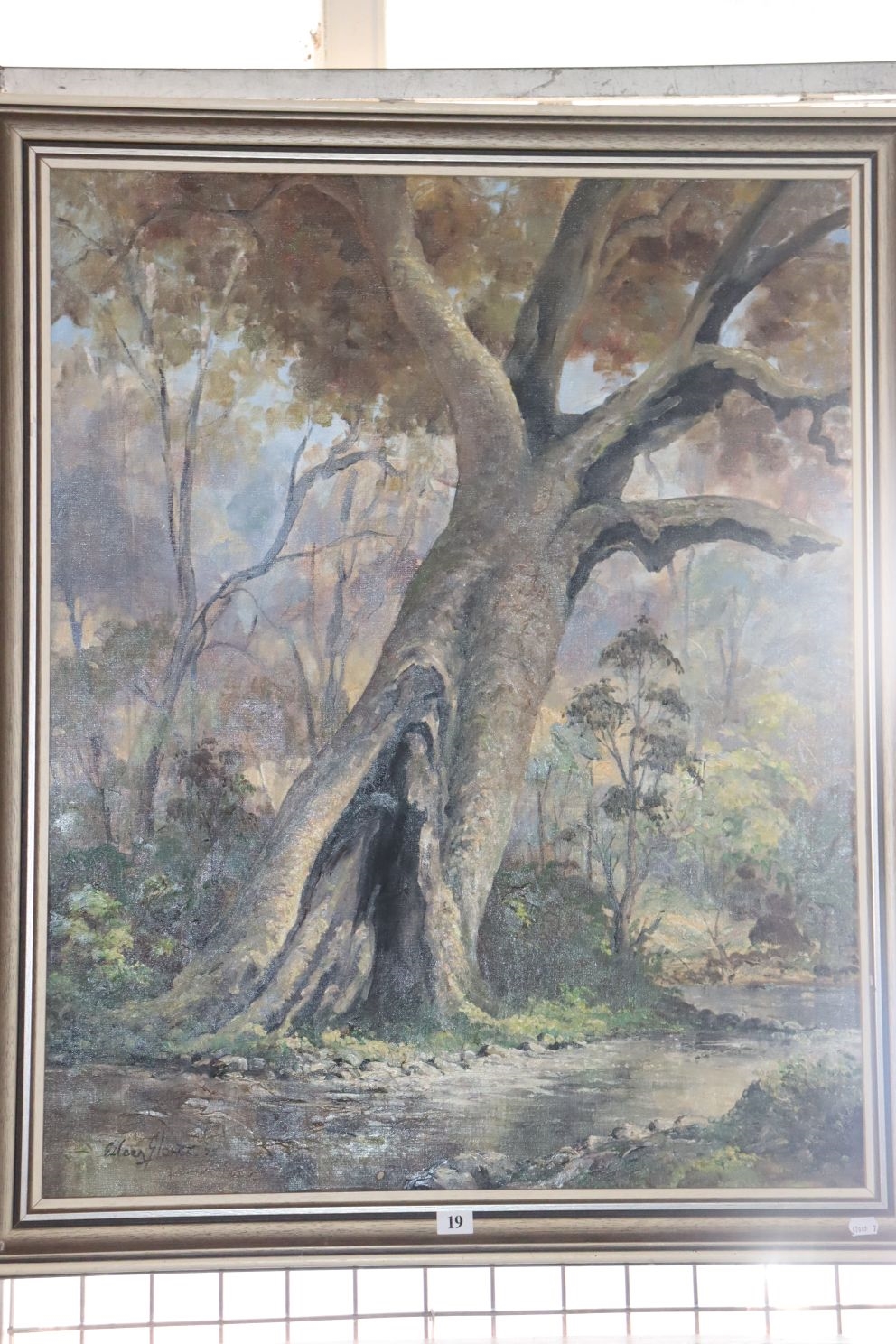 Eileen Glover | Gum Trees | MutualArt