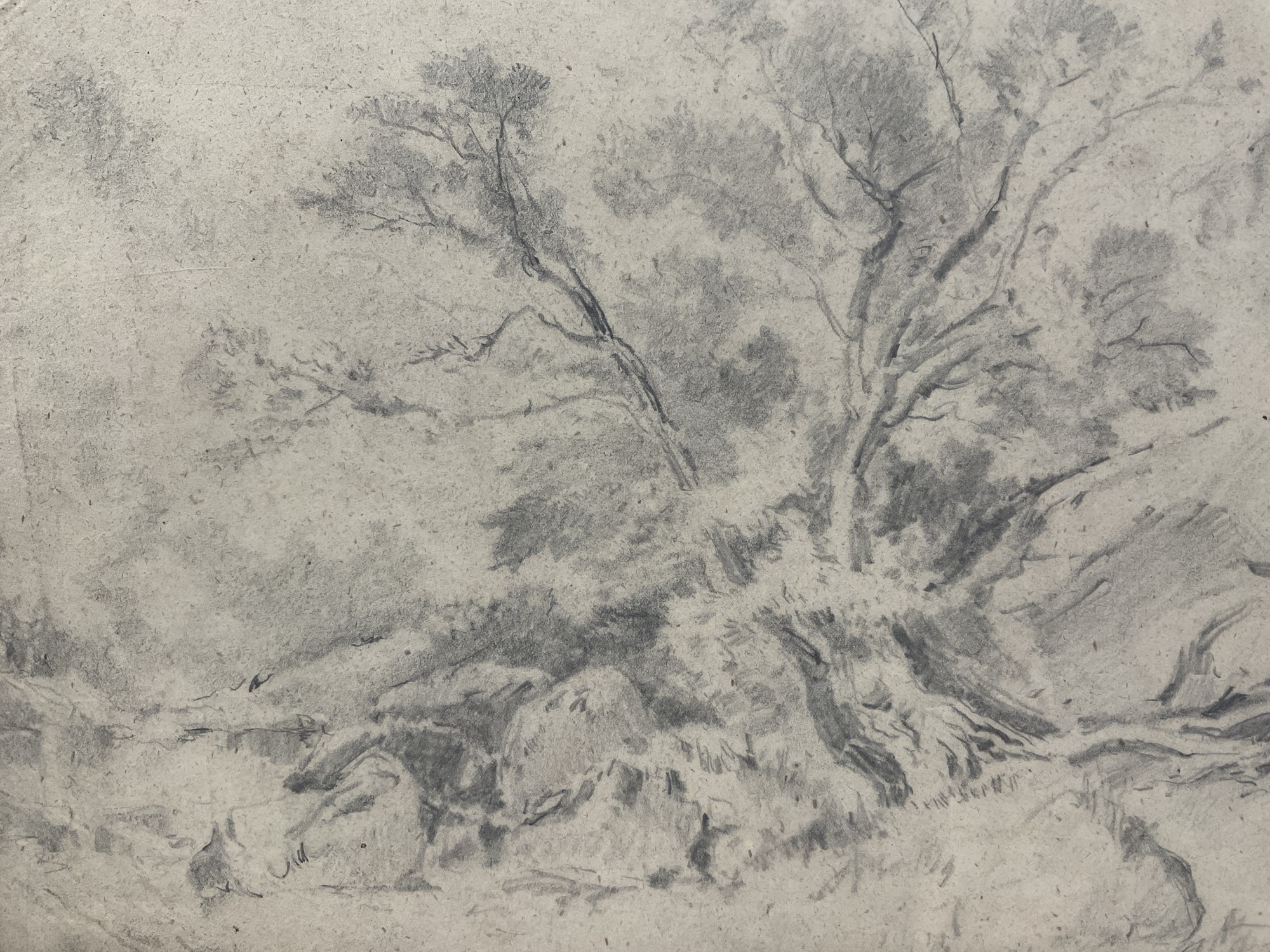 David Cox Sr. | pencil, landscape with tree and rocks, 34 x 47cm ...