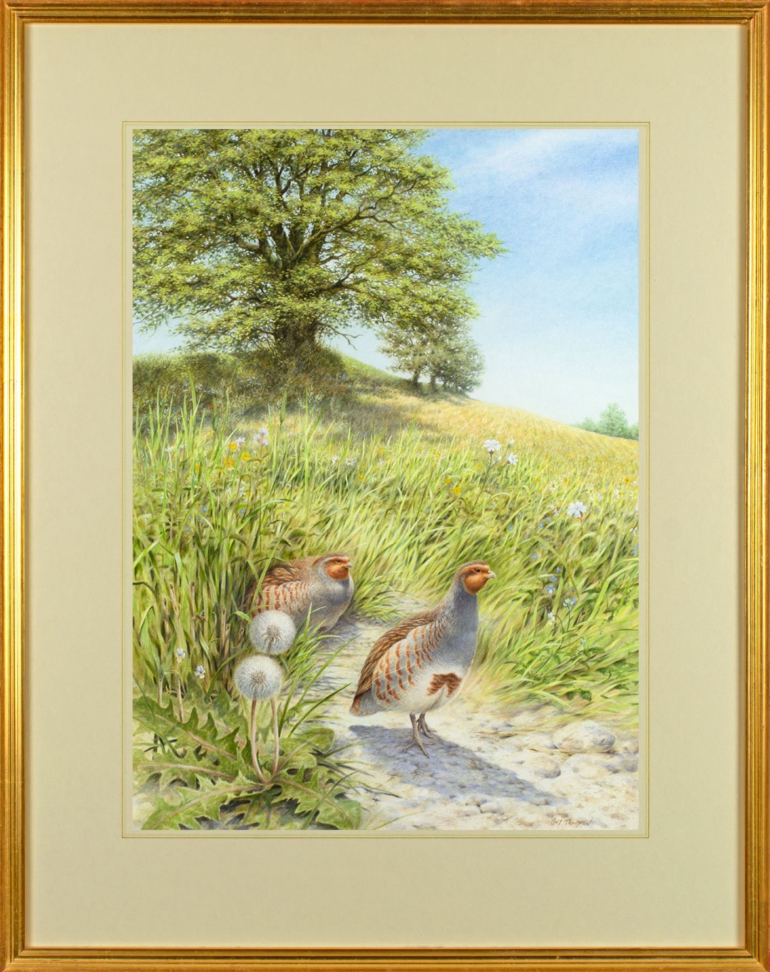Guy Troughton | Guy Troughton (1960-), Partridges in Set-Aside | MutualArt