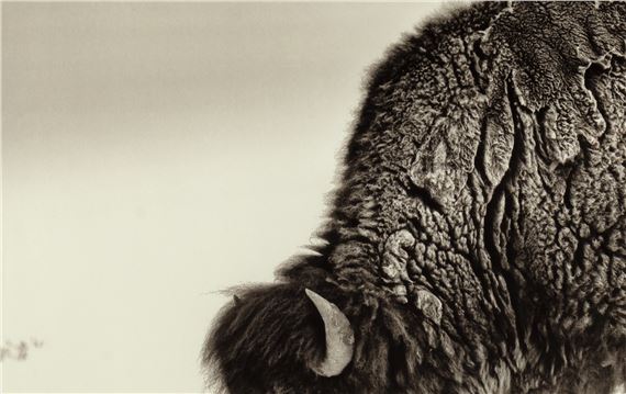 Audrey Hall | Biography