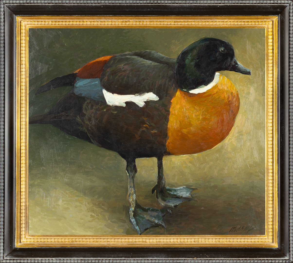 Richard Murray | Shelduck | MutualArt