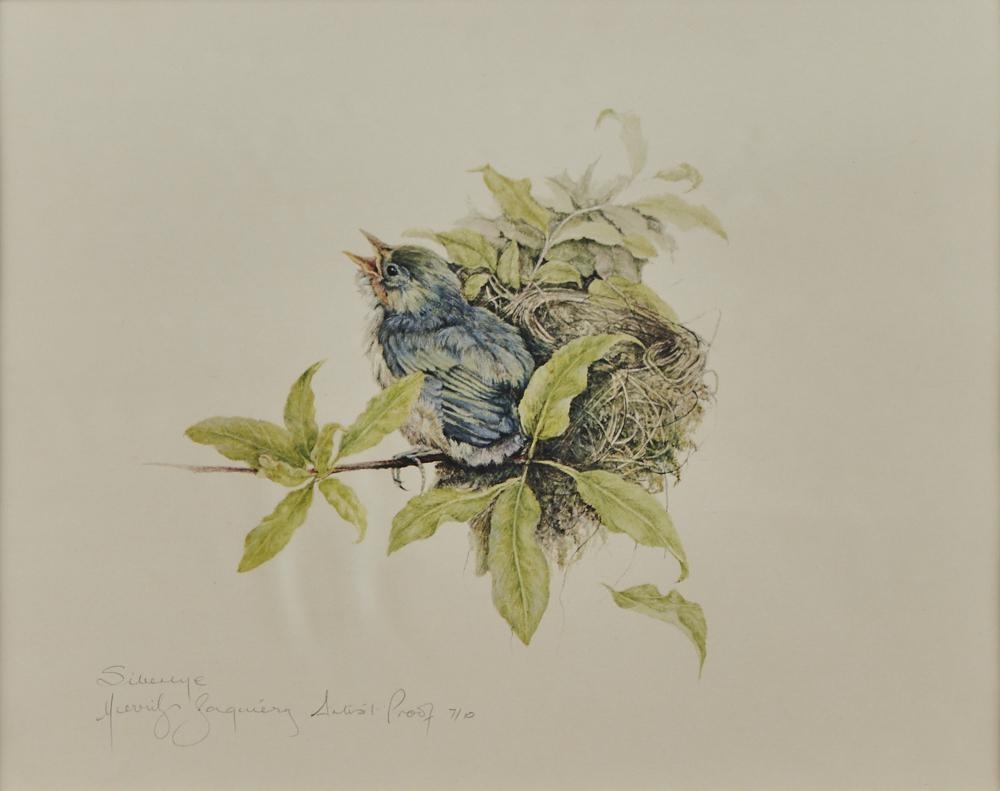 Merrilyn Jaquiery | Silvereye | MutualArt