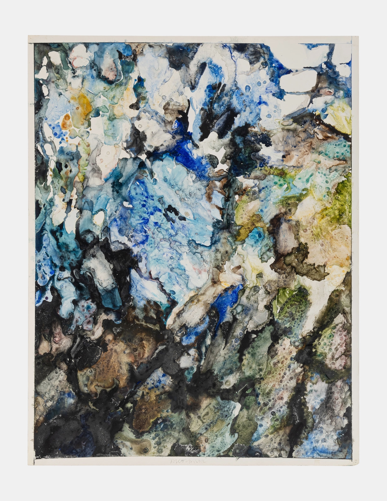 Joseph Raffael | New Lily (1979) | MutualArt