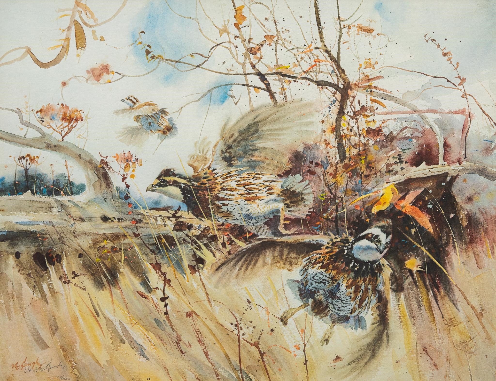 Clay McGaughy | Flushing Quail Lithograph | MutualArt