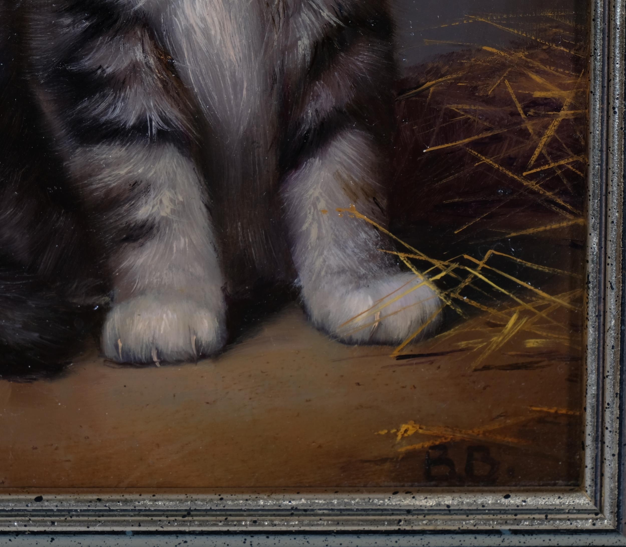 Bessie Bamber | portrait of a kitten (1910) | MutualArt