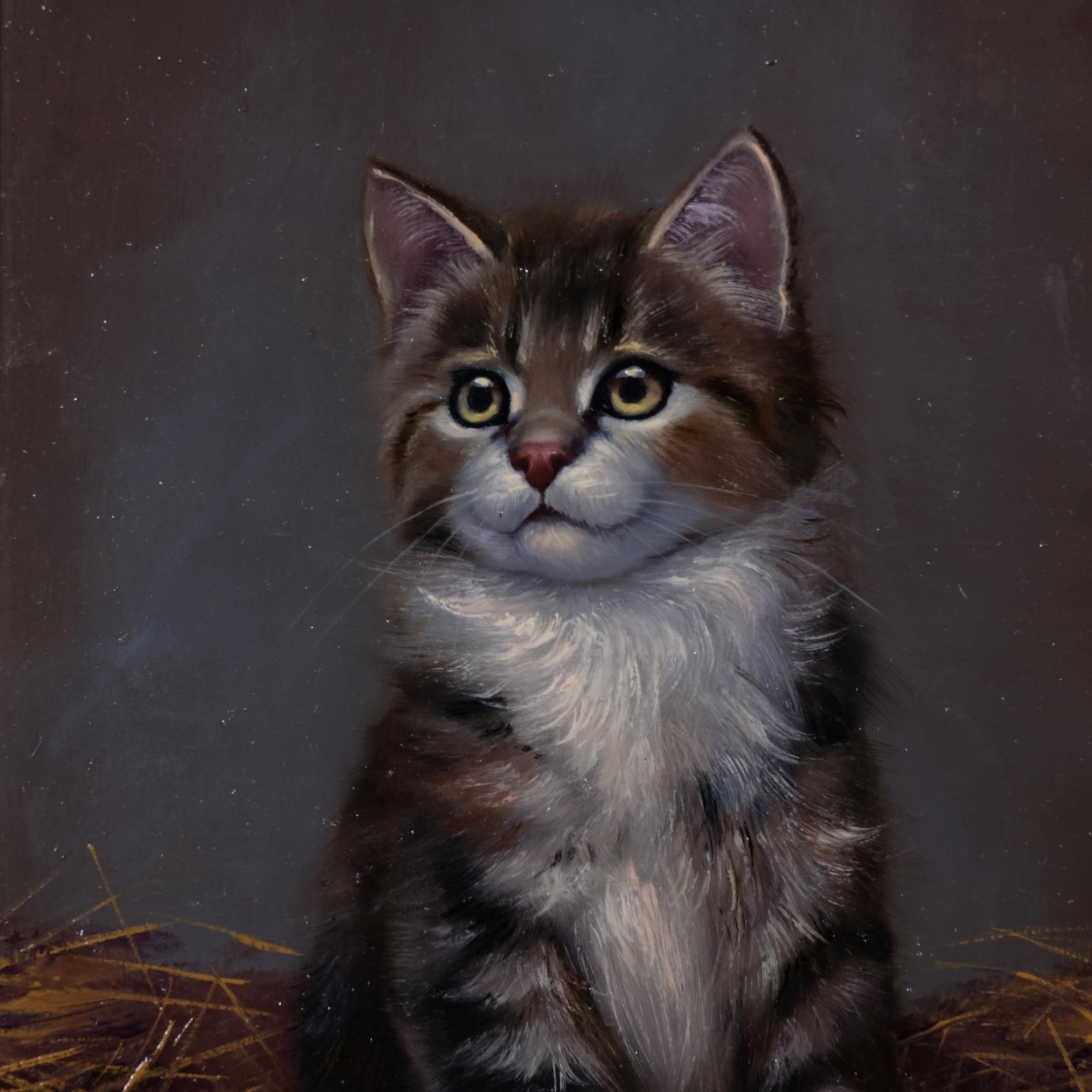 Bessie Bamber | portrait of a kitten (1910) | MutualArt