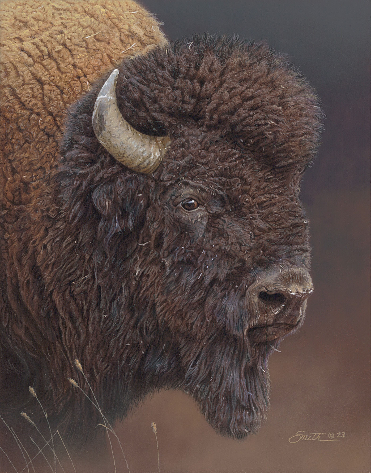 Daniel Smith | BULL’S EYE | MutualArt