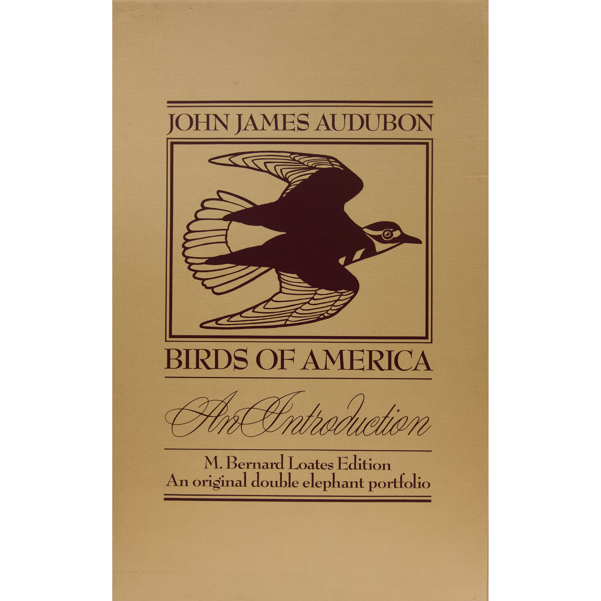 Murphy Bernard Loates | BIRDS OF AMERICA | MutualArt