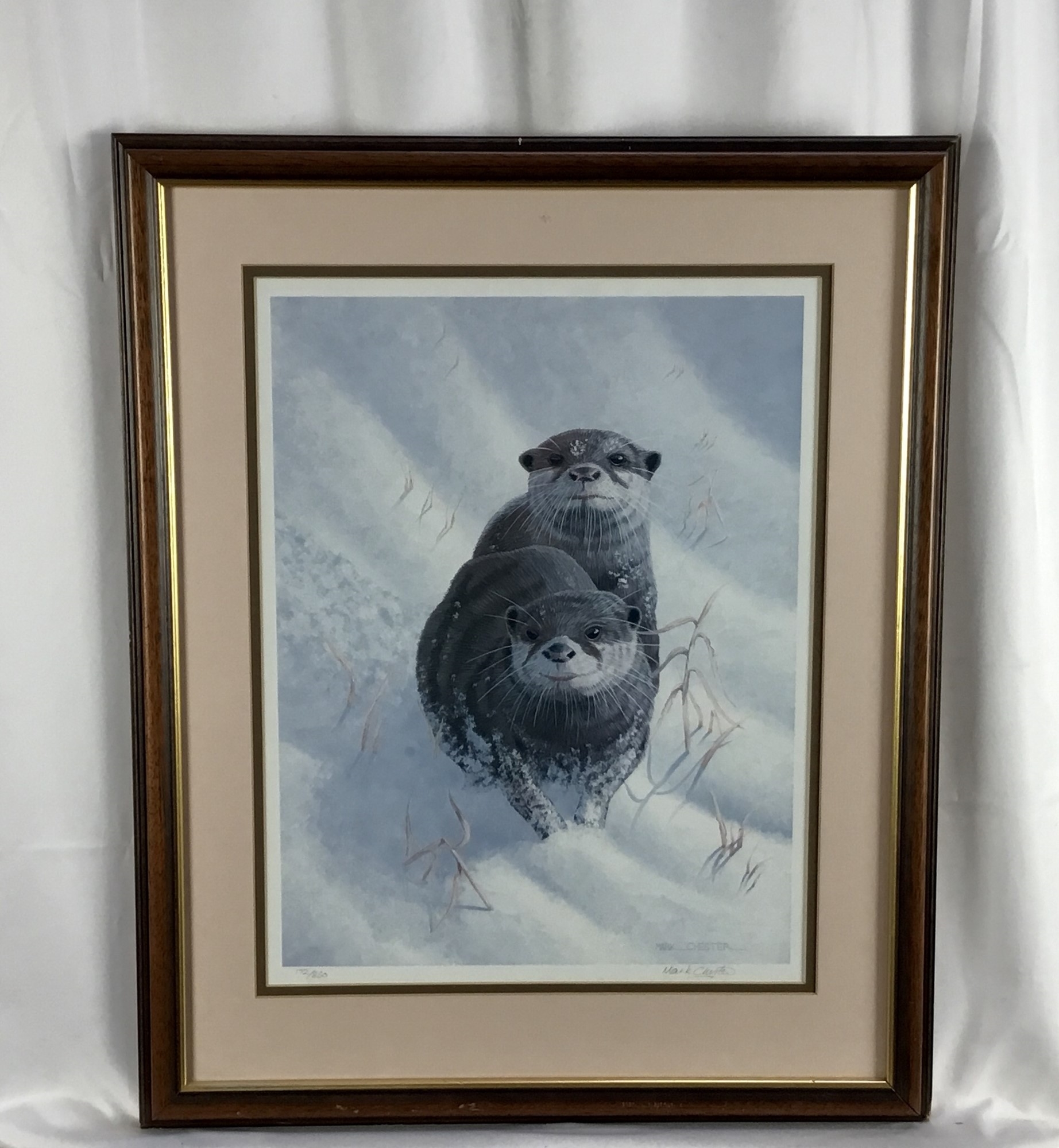 Mark Chester | Otters | MutualArt