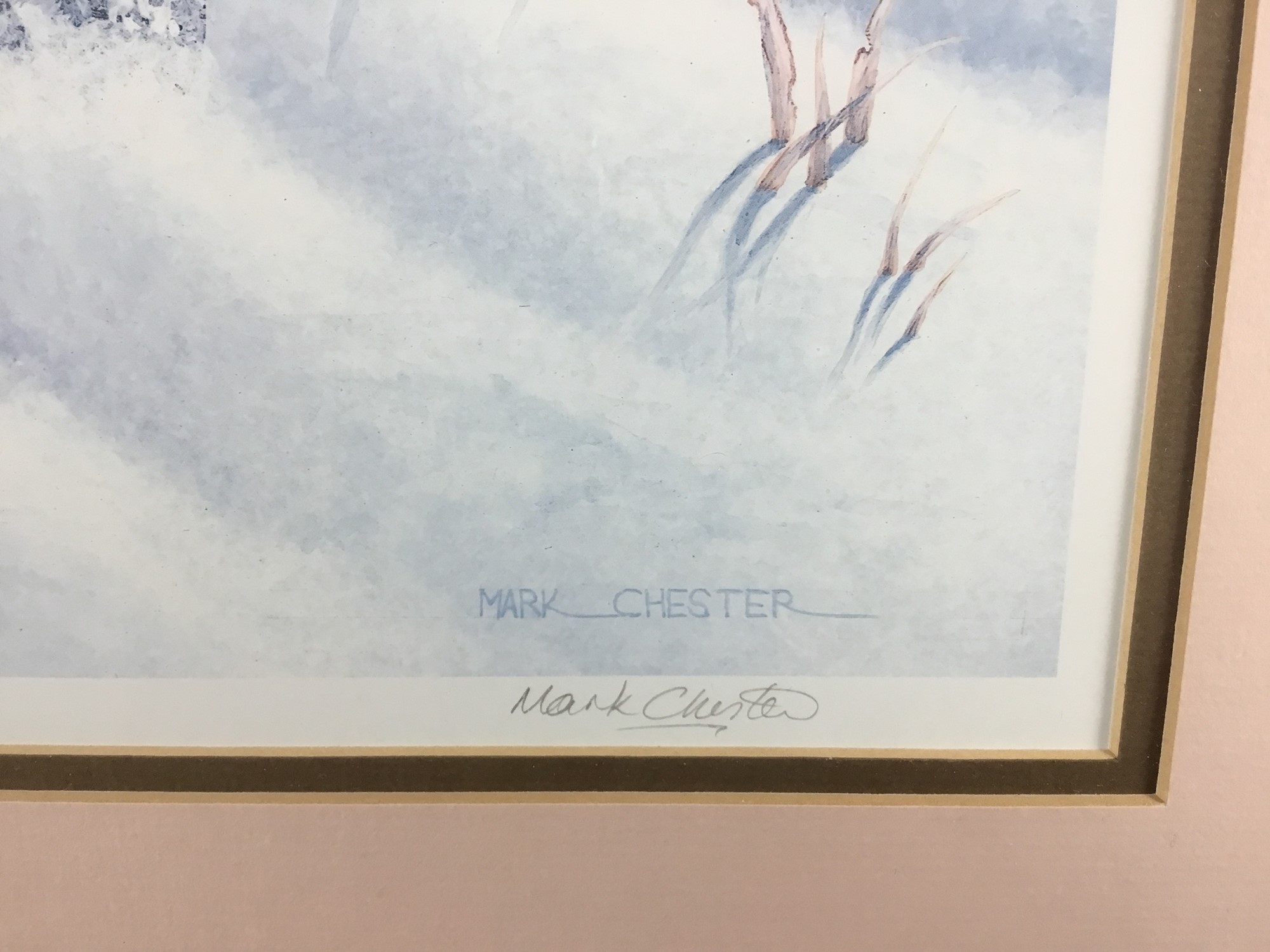 Mark Chester | Otters | MutualArt