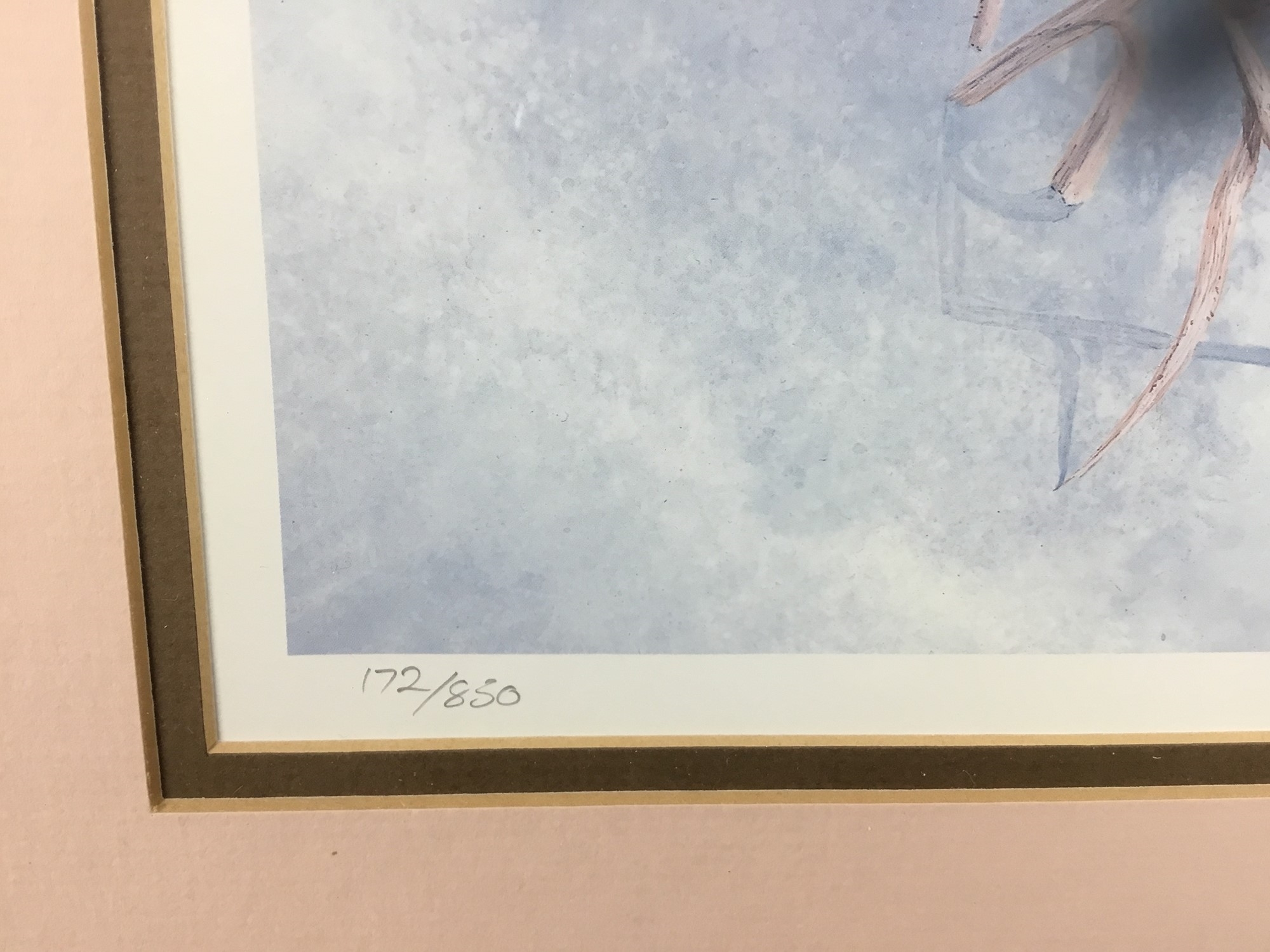 Mark Chester | Otters | MutualArt