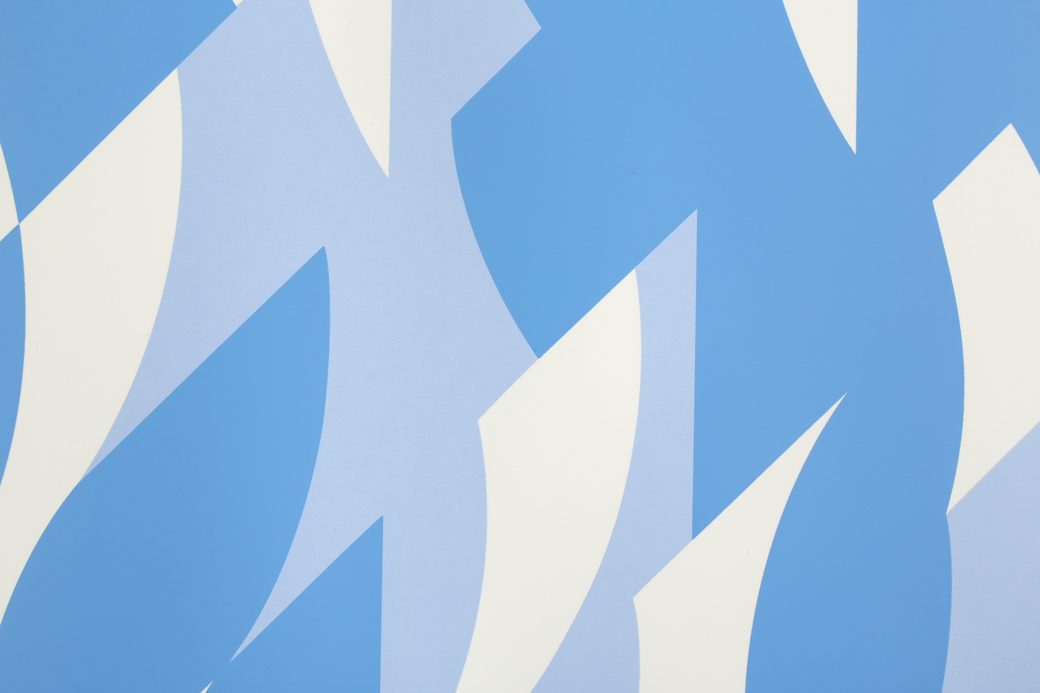 Bridget Riley | signed (2003) | MutualArt