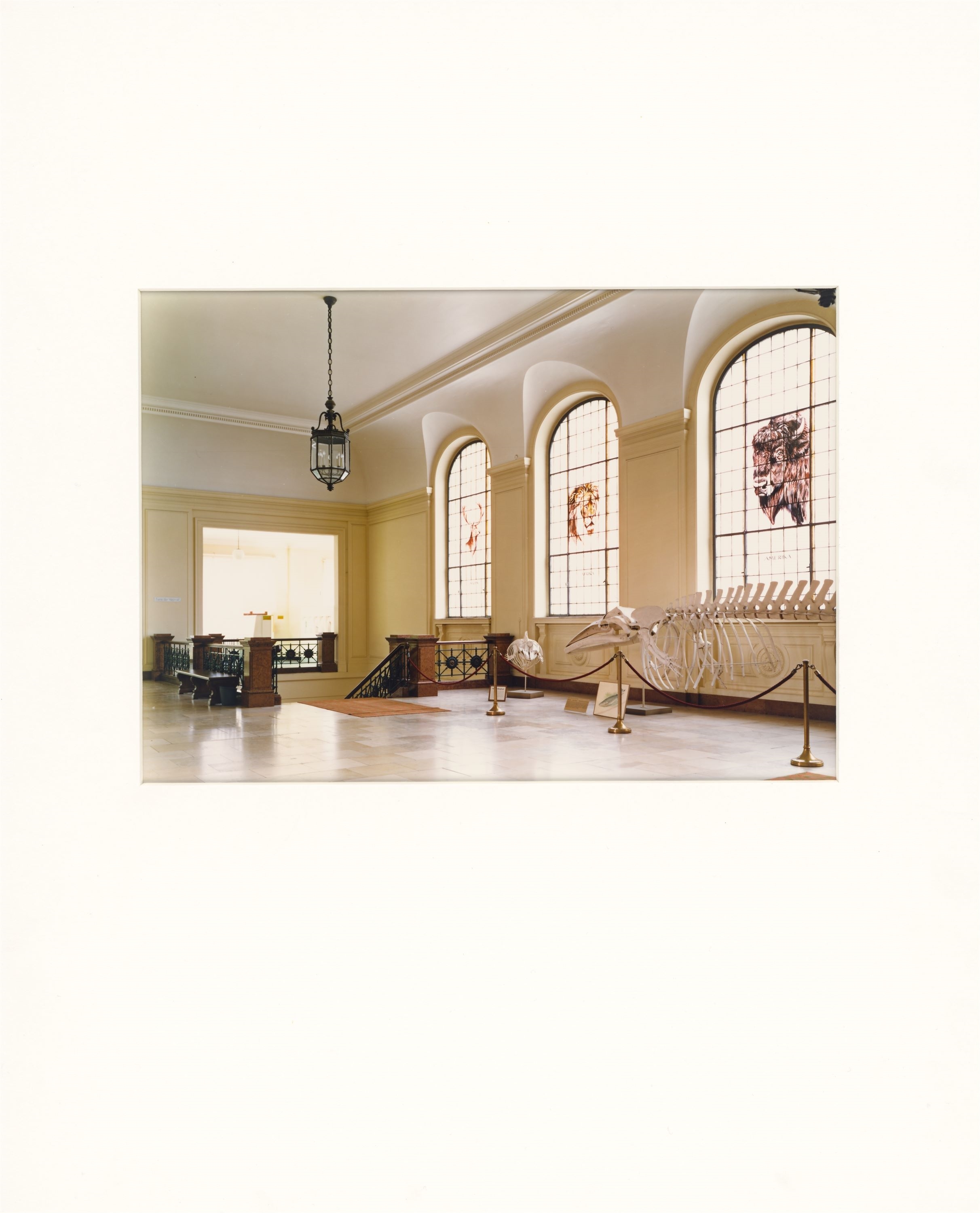 Candida Höfer | Museum A. Koenig Bonn. (1985) | MutualArt