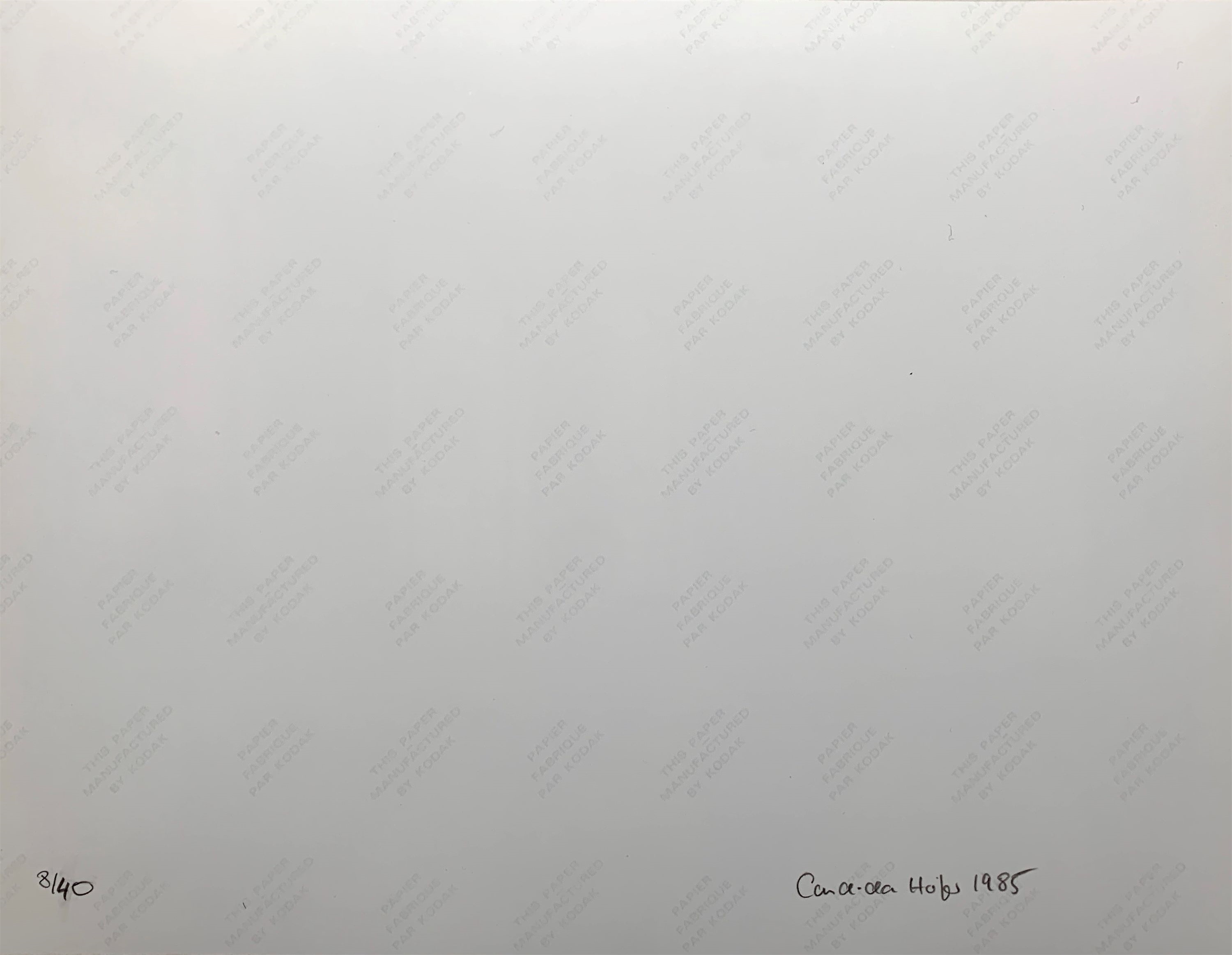 Candida Höfer | Museum A. Koenig Bonn. (1985) | MutualArt