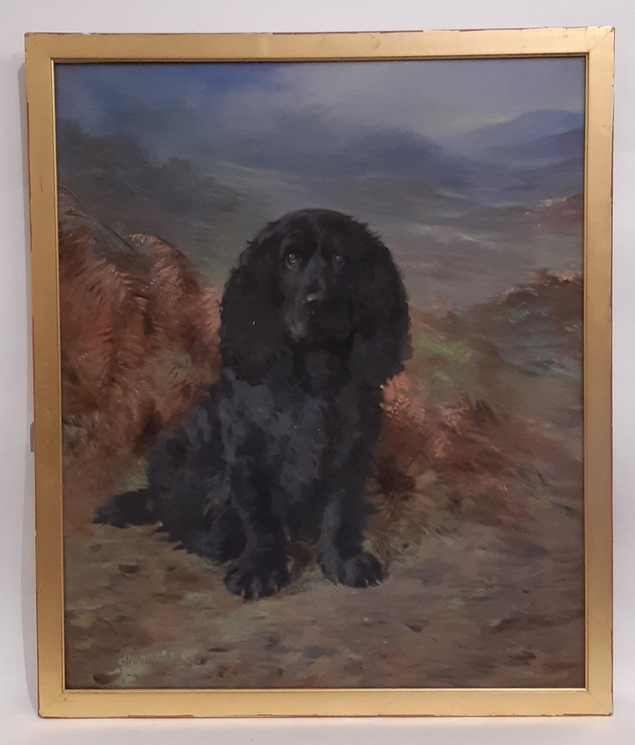 Lilian Cheviot | - Portrait of a Spaniel on the Moors, | MutualArt
