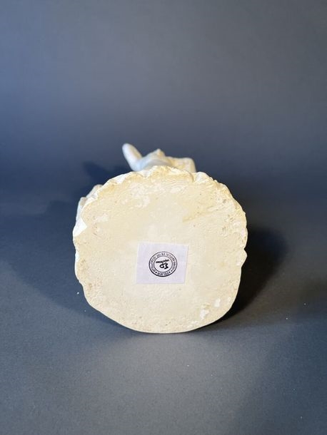 Henri-marius Petit | Aphrodite in her shell (1930s) | MutualArt