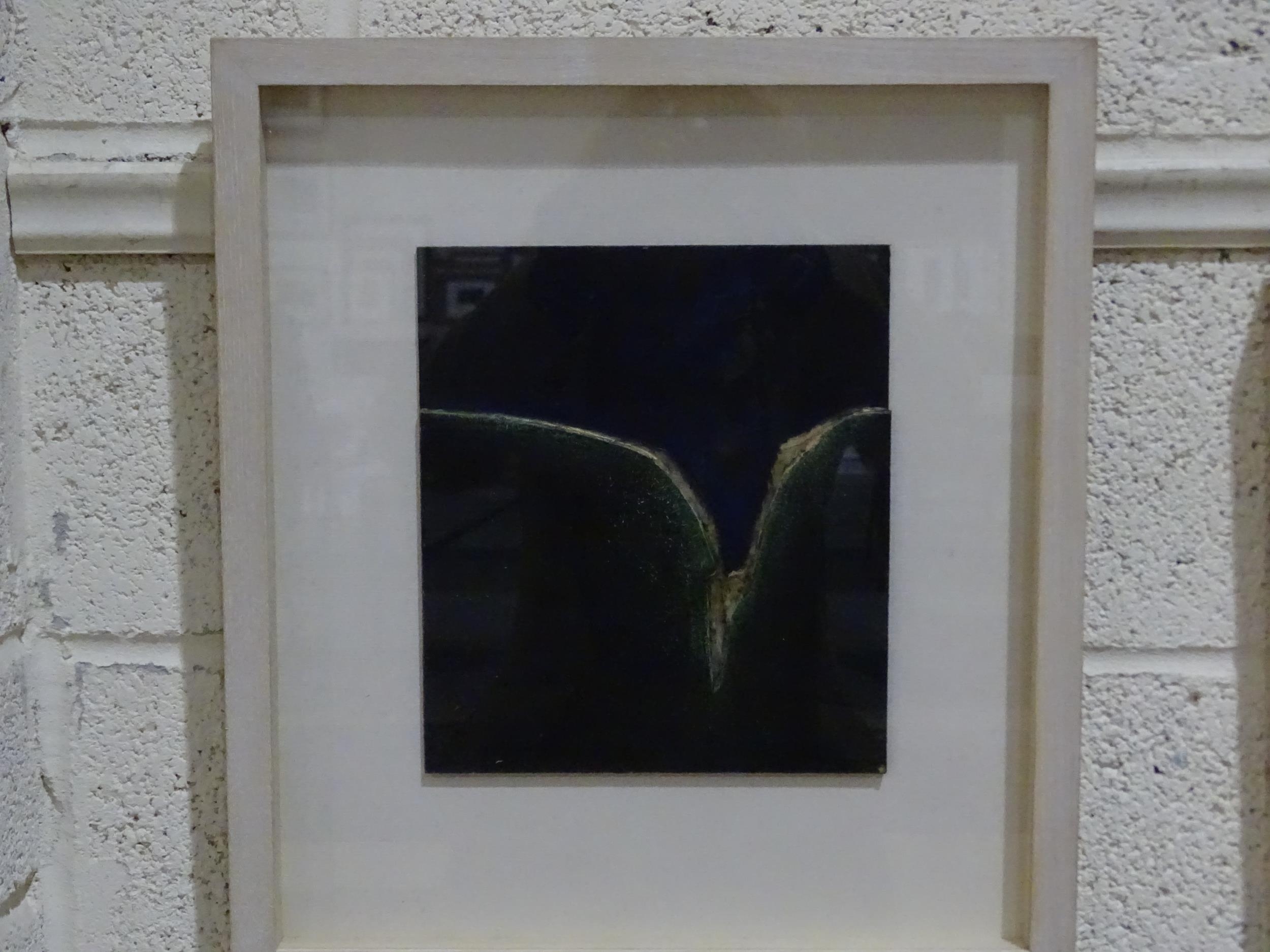 Colin George | Dividing Lines Series I | MutualArt