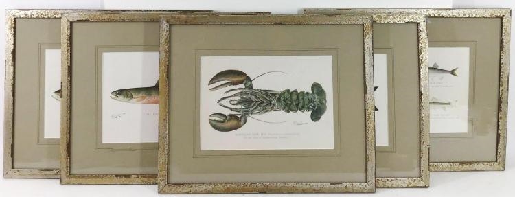 Sherman Foote Denton | Denton Fish Print grouping | MutualArt