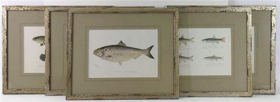 Sherman Foote Denton | Denton Fish Print grouping | MutualArt