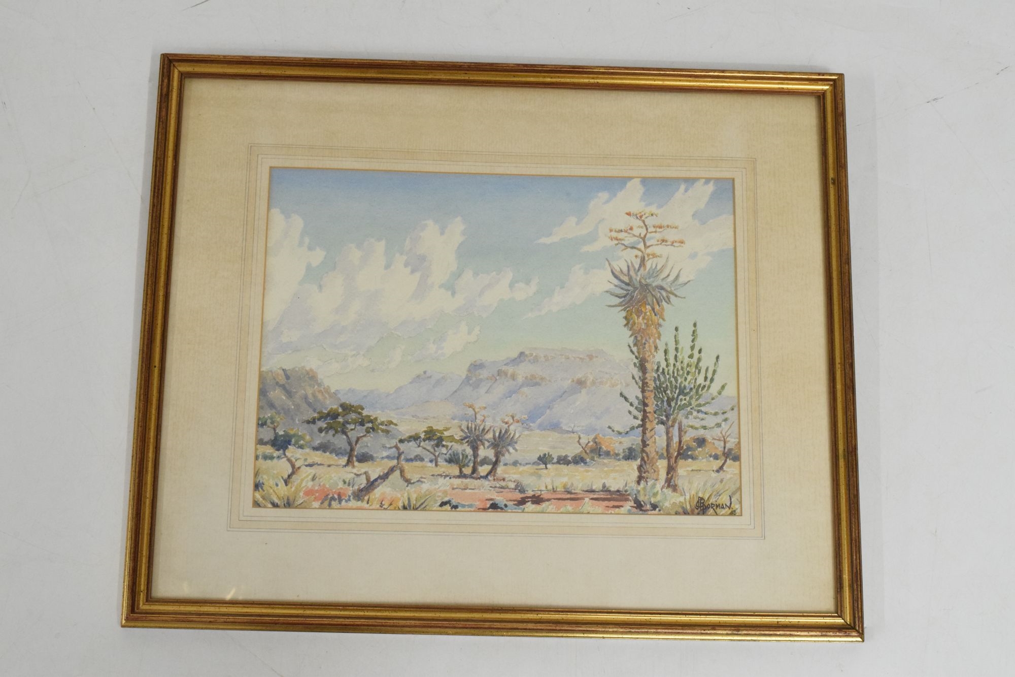 Johannes G. Borman | - Watercolour - South African landscape | MutualArt