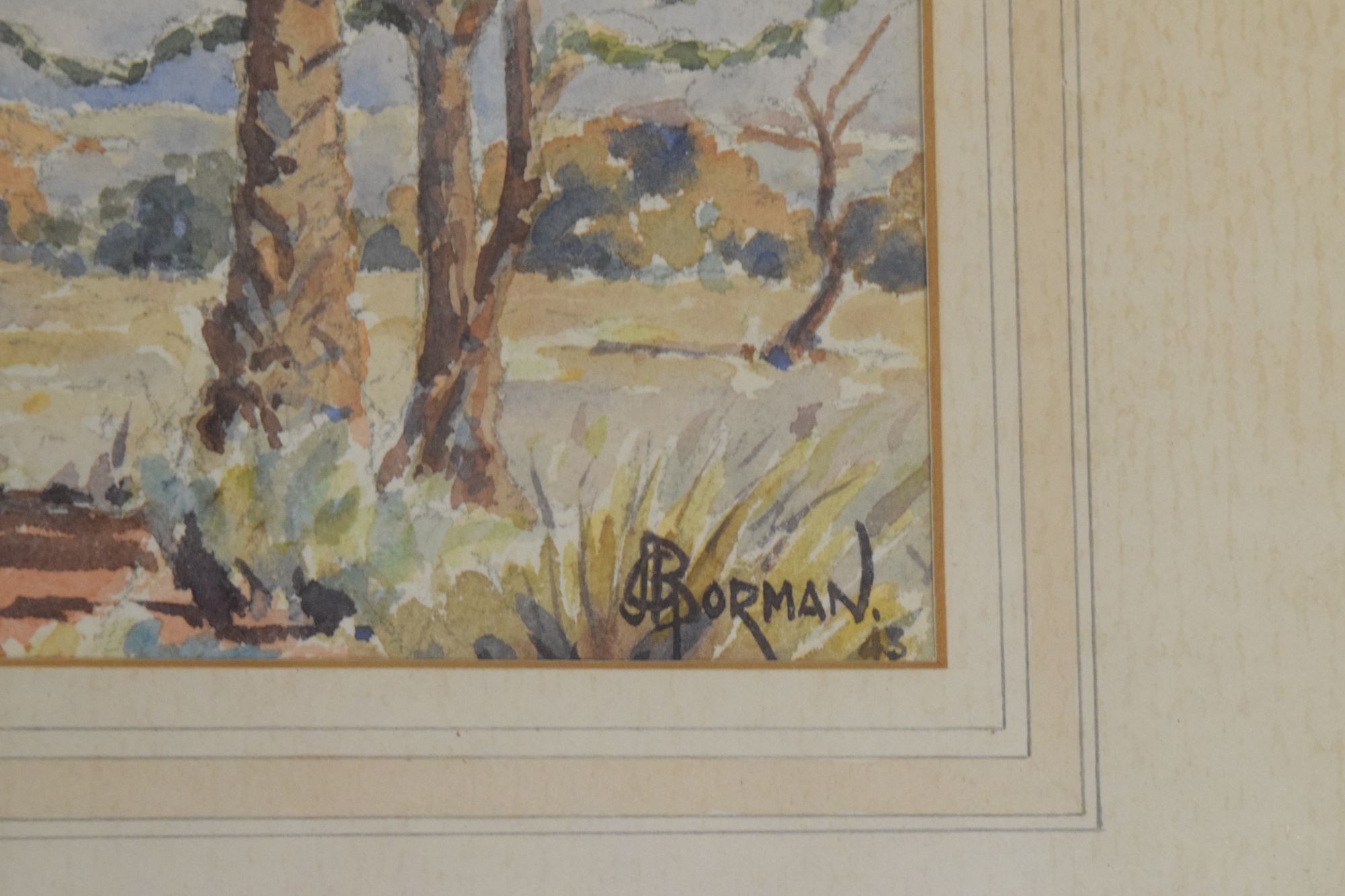 Johannes G. Borman | - Watercolour - South African landscape | MutualArt