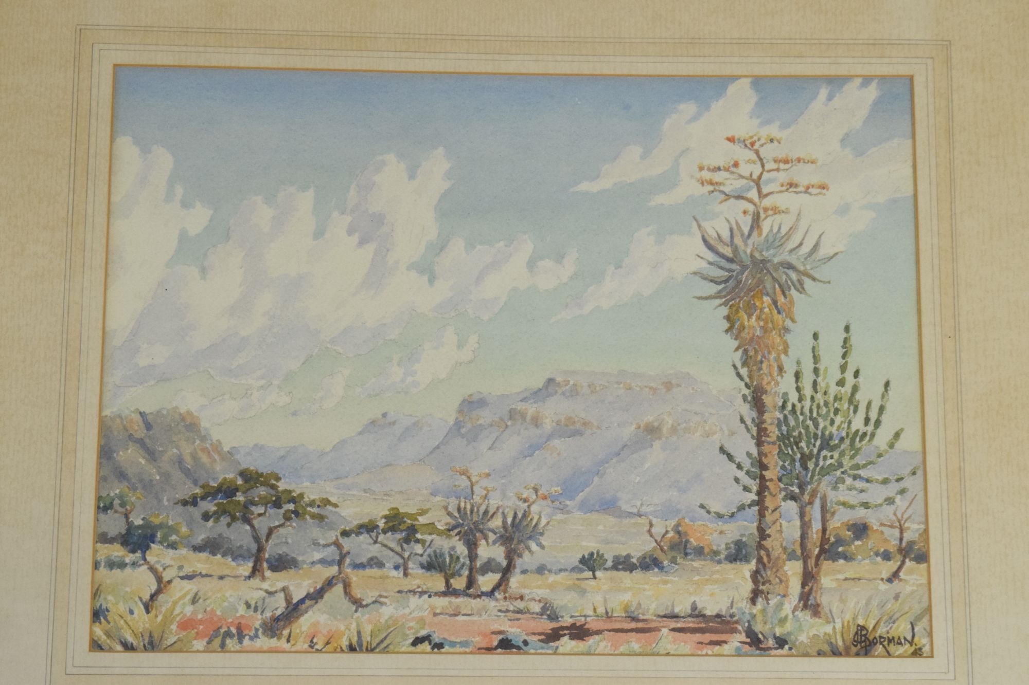 Johannes G. Borman | - Watercolour - South African landscape | MutualArt