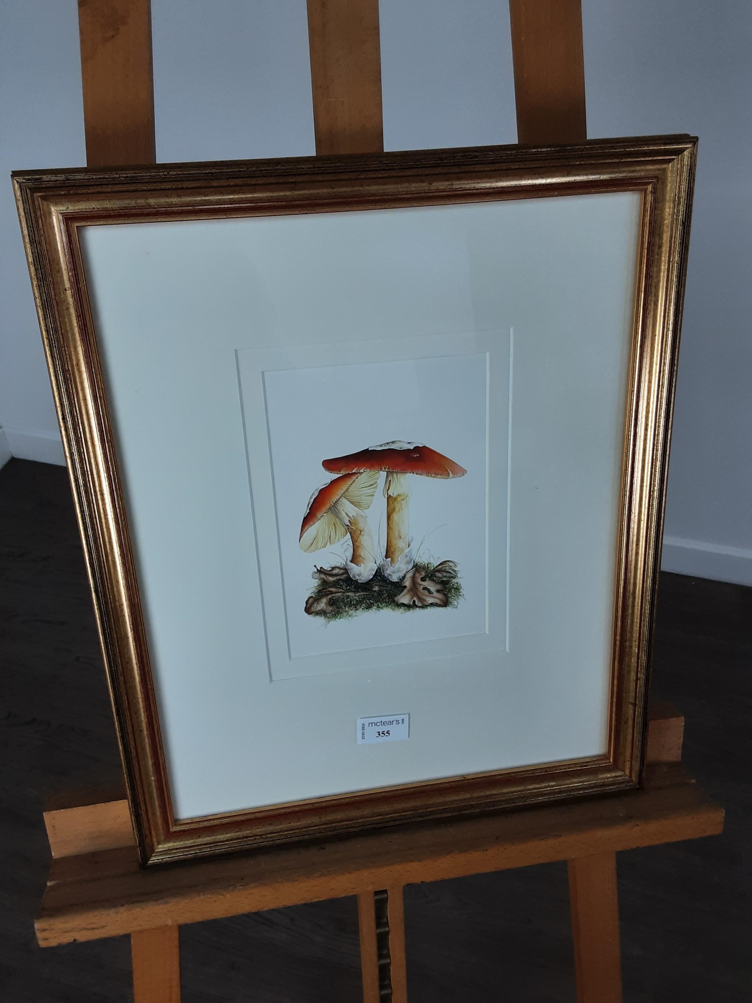 Marjorie Lyon | * MARJORIE LYON CEASAR'S MUSHROOM | MutualArt