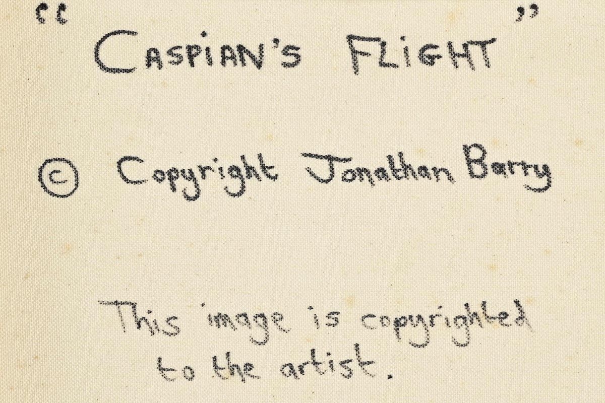 Jonathan Barry | Caspian's Flight | MutualArt