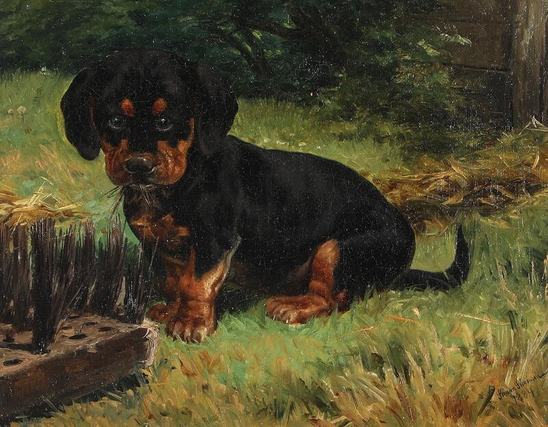Simon Simonsen | A dachshund puppie (1884) | MutualArt