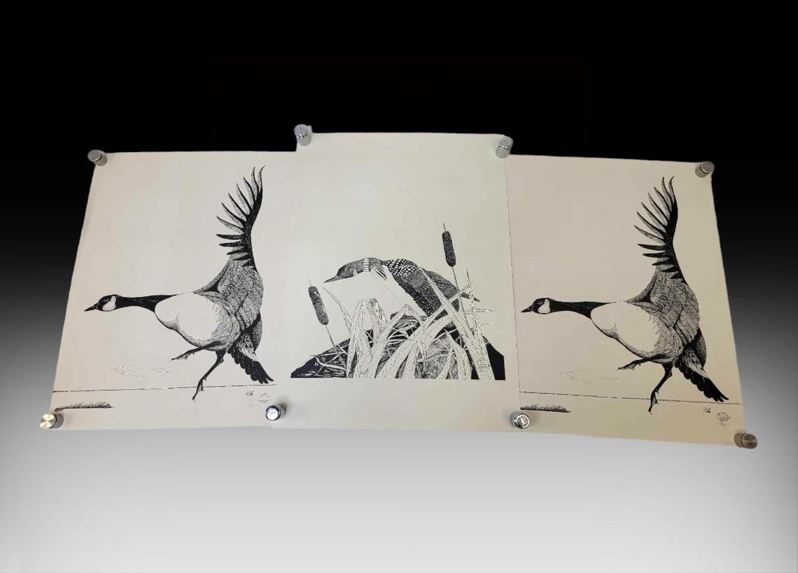 Ron Narson | Water Fowl Posters | MutualArt