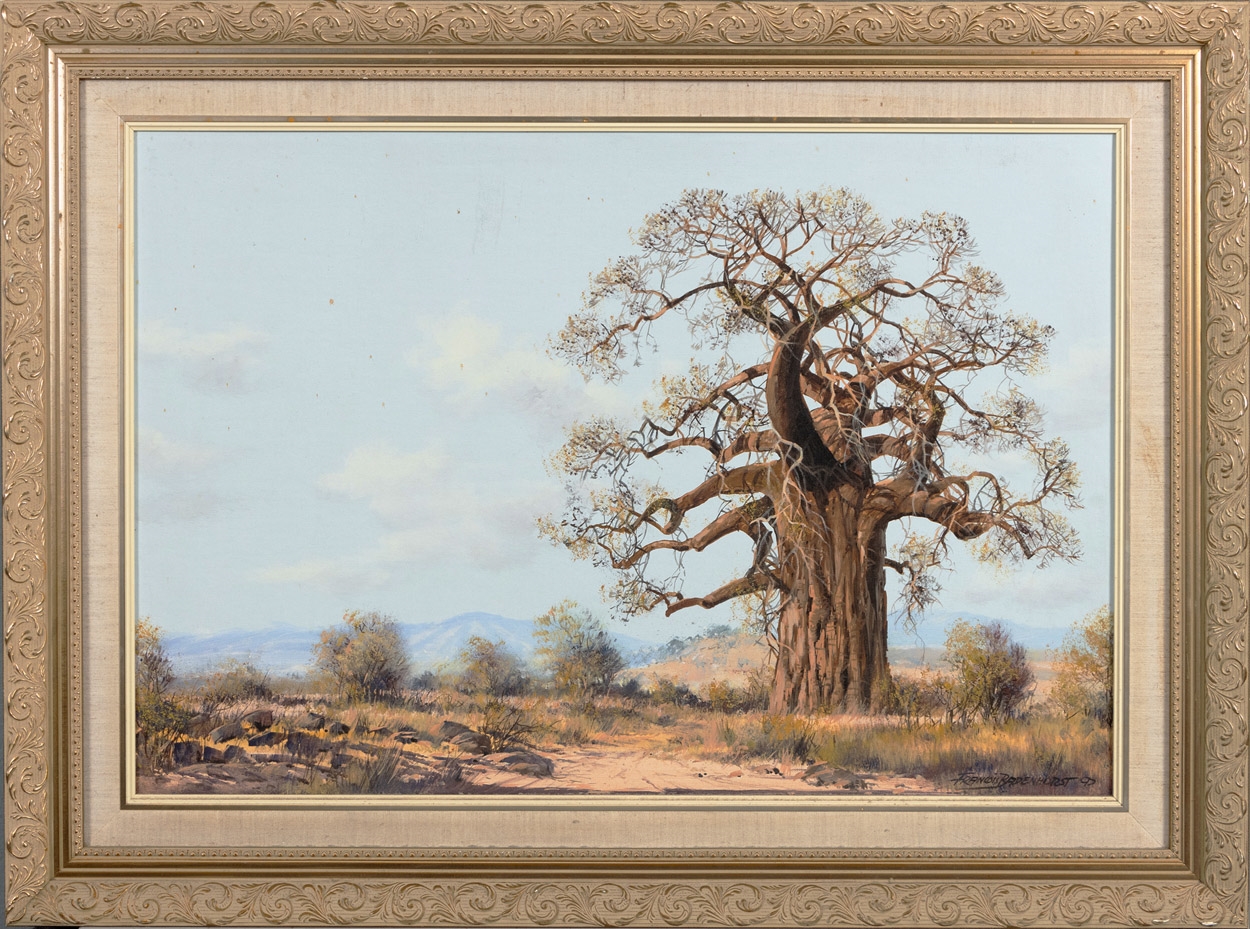 Francois Badenhorst | baobab tree | MutualArt