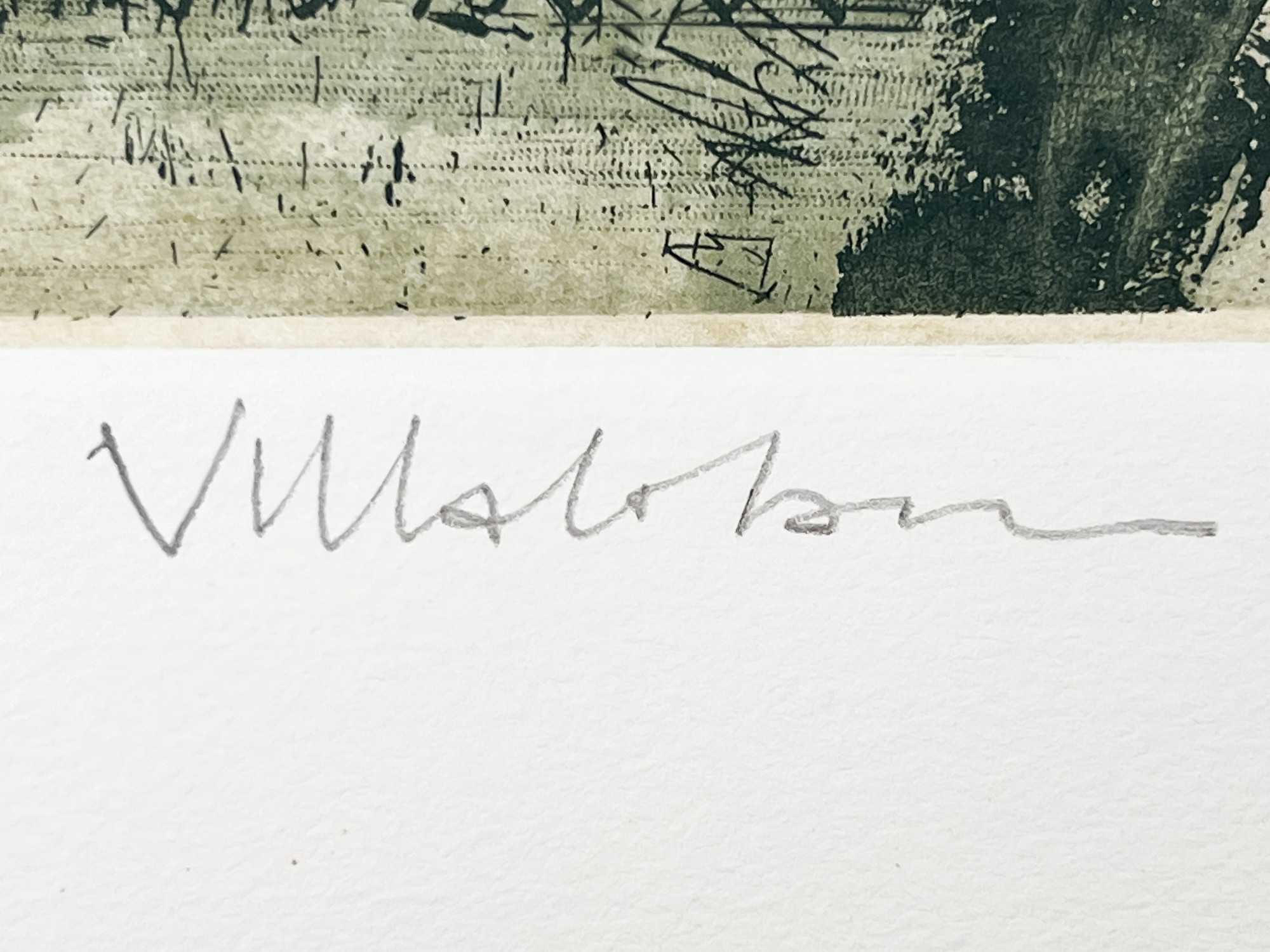 José Villalobos | Viento de Occidente | MutualArt