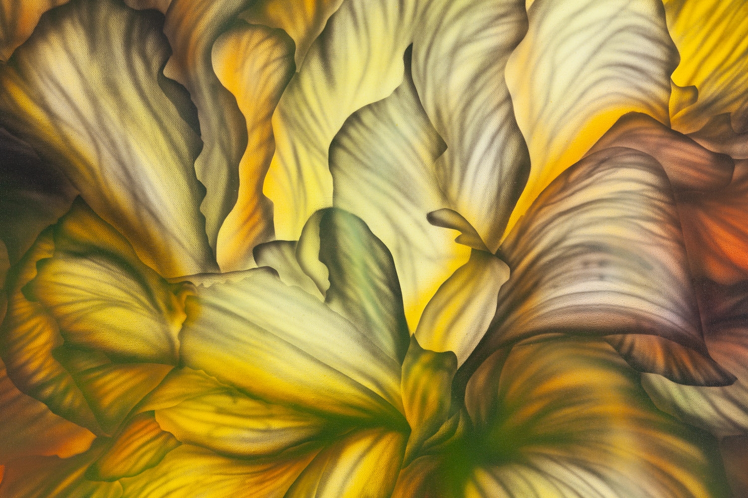 Hanna Rozpara | Tiger Iris (2023) | MutualArt