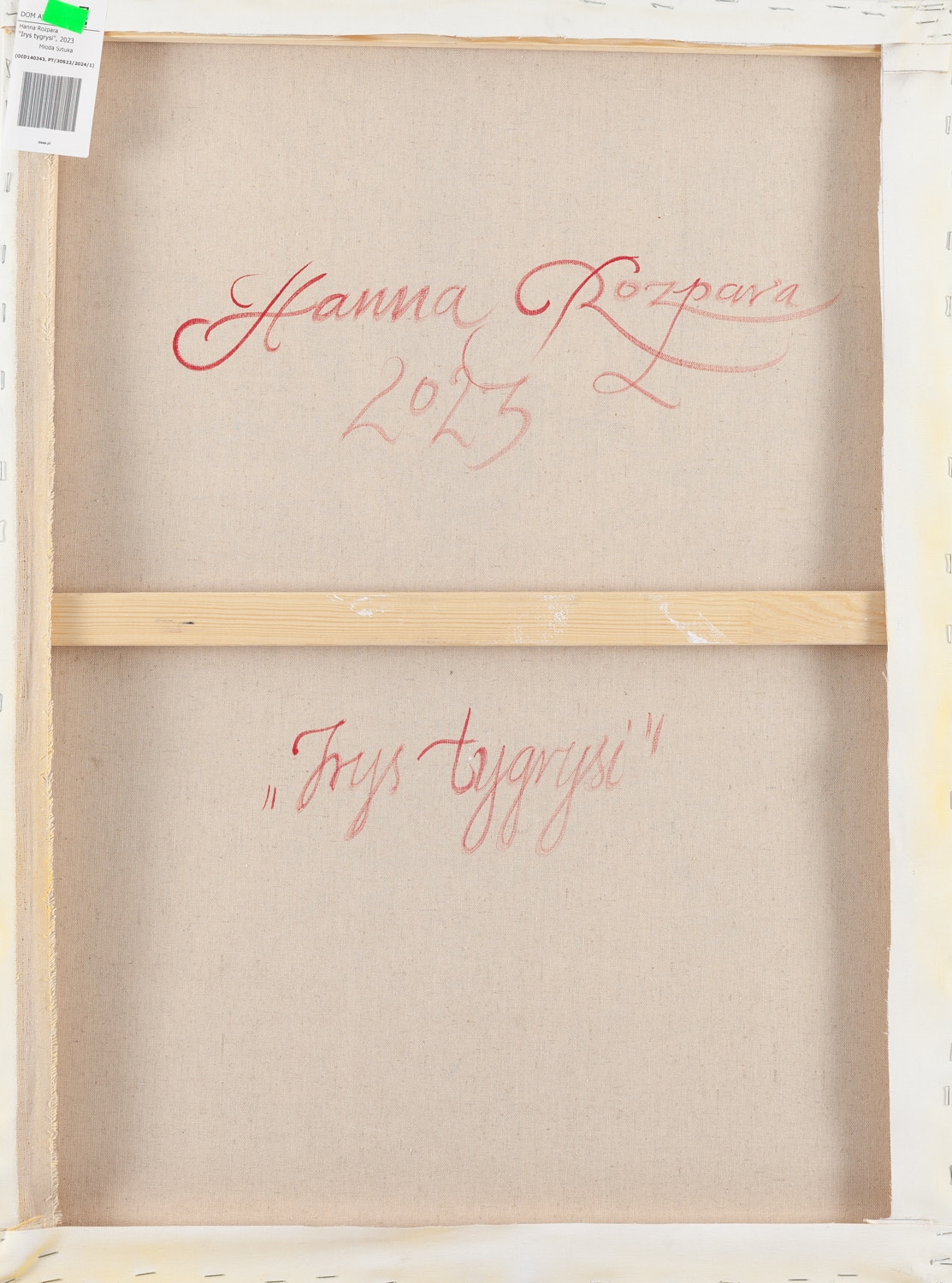 Hanna Rozpara | Tiger Iris (2023) | MutualArt