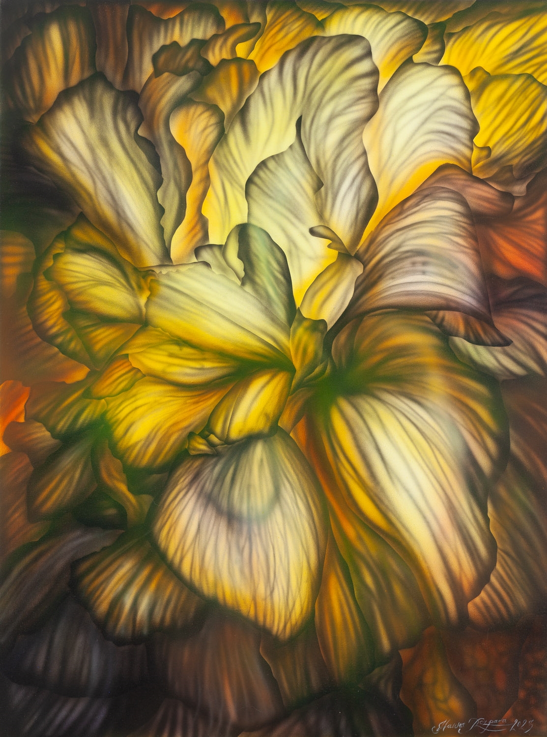 Hanna Rozpara | Tiger Iris (2023) | MutualArt