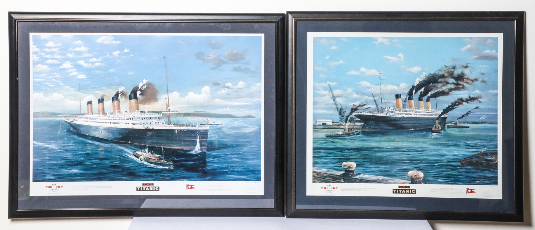 Randall Wilson | The Titanic | MutualArt